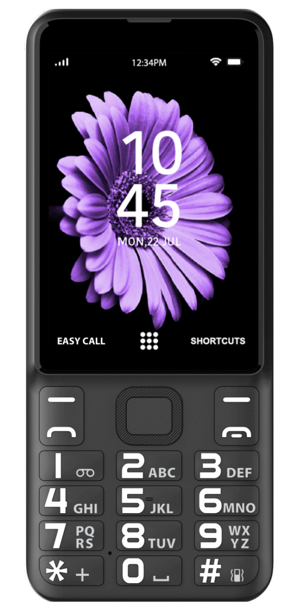 Easy Big Button 4G